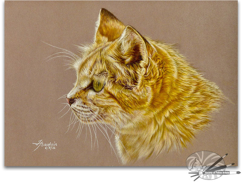 Sand Cat Portrait – Society Of Feline Artists Gallery