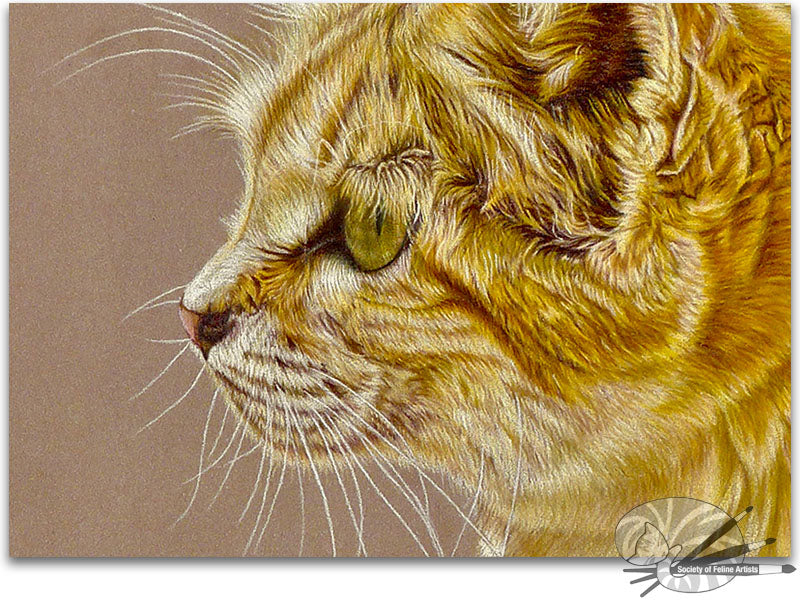 Sand Cat Portrait – Society Of Feline Artists Gallery